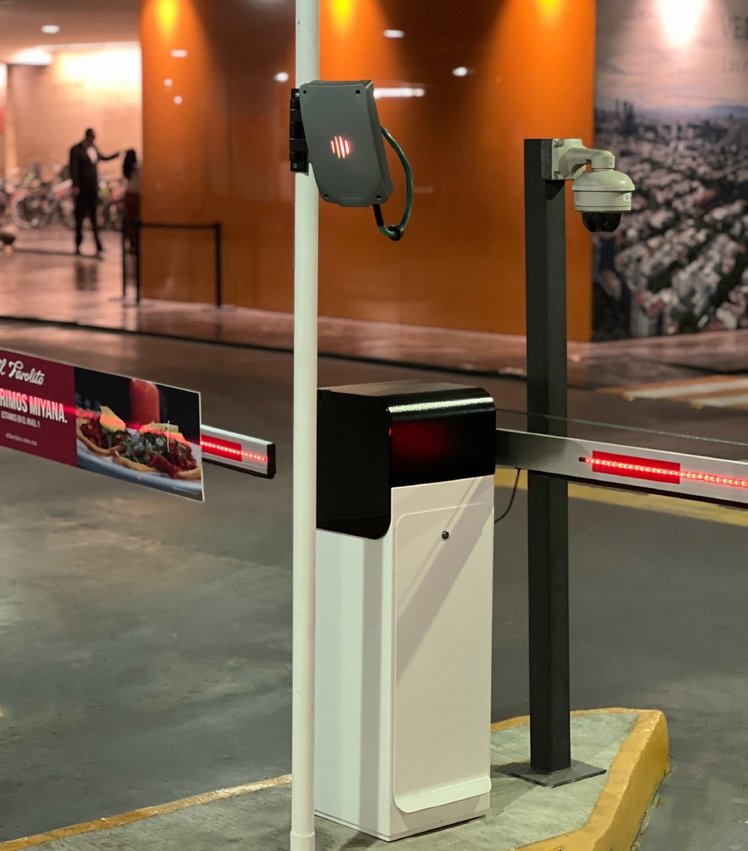 Designa's arrival at Miyana in Mexico City